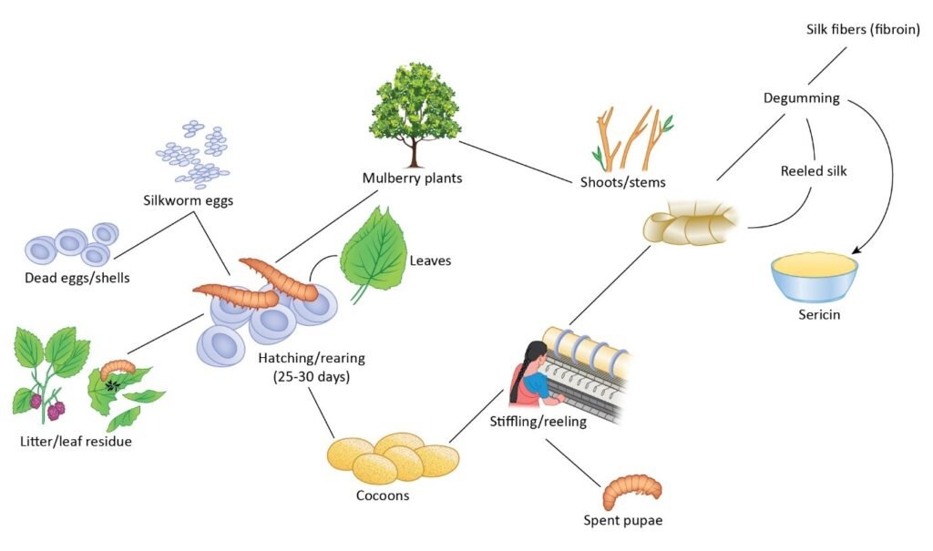 Biopolymers and Biocomposites – CIIRC